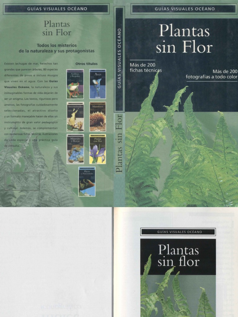 Plantas Sin Flor | PDF