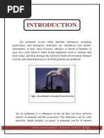 Project On Pollution | PDF | Environmental Degradation | Pollution