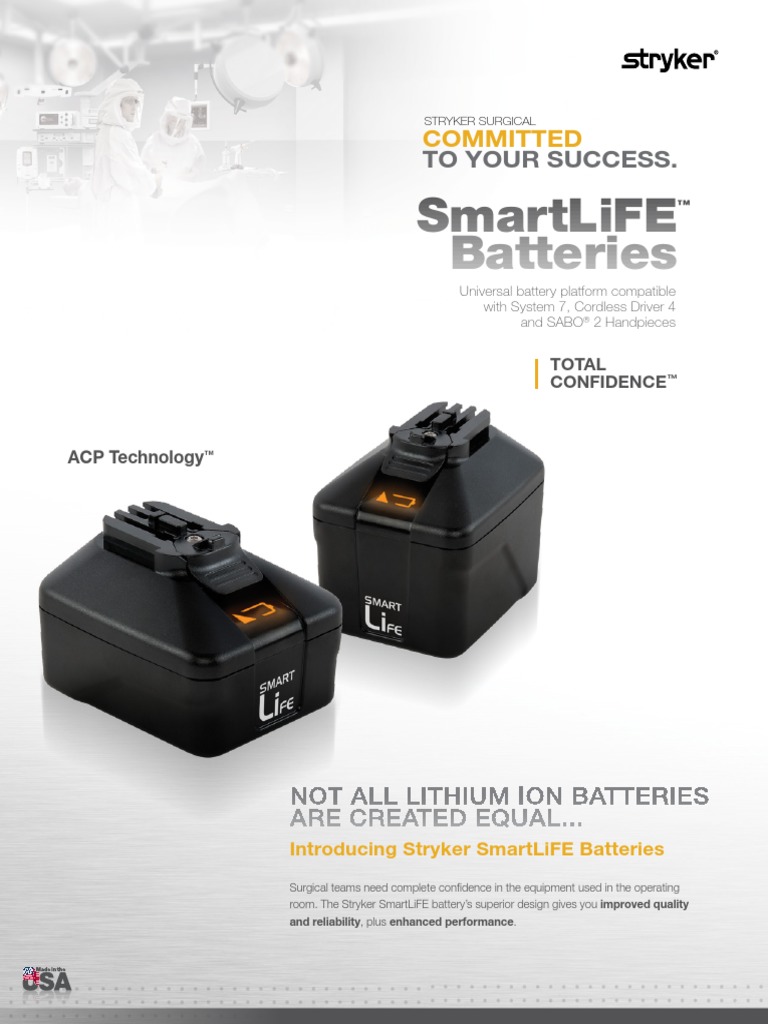 Battery System7 | PDF | Battery (Electricity) | Battery Charger