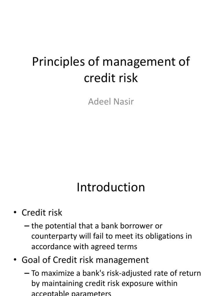 Principles of Credit Risk Management | PDF | Credit (Finance) | Credit Risk