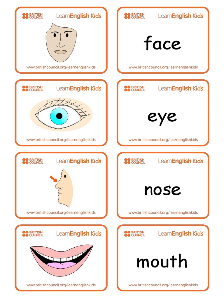 flashcards-head.pdf