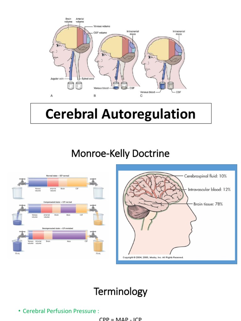 Autoregulation of Cerebral Perfusion Pressure | PDF | Cardiovascular ...
