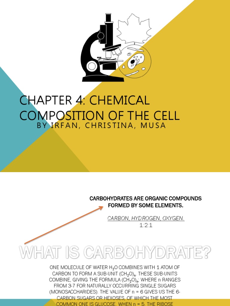 Chapter 4: Chemical Composition of The Cell: by Irfan, Christina, Musa ...