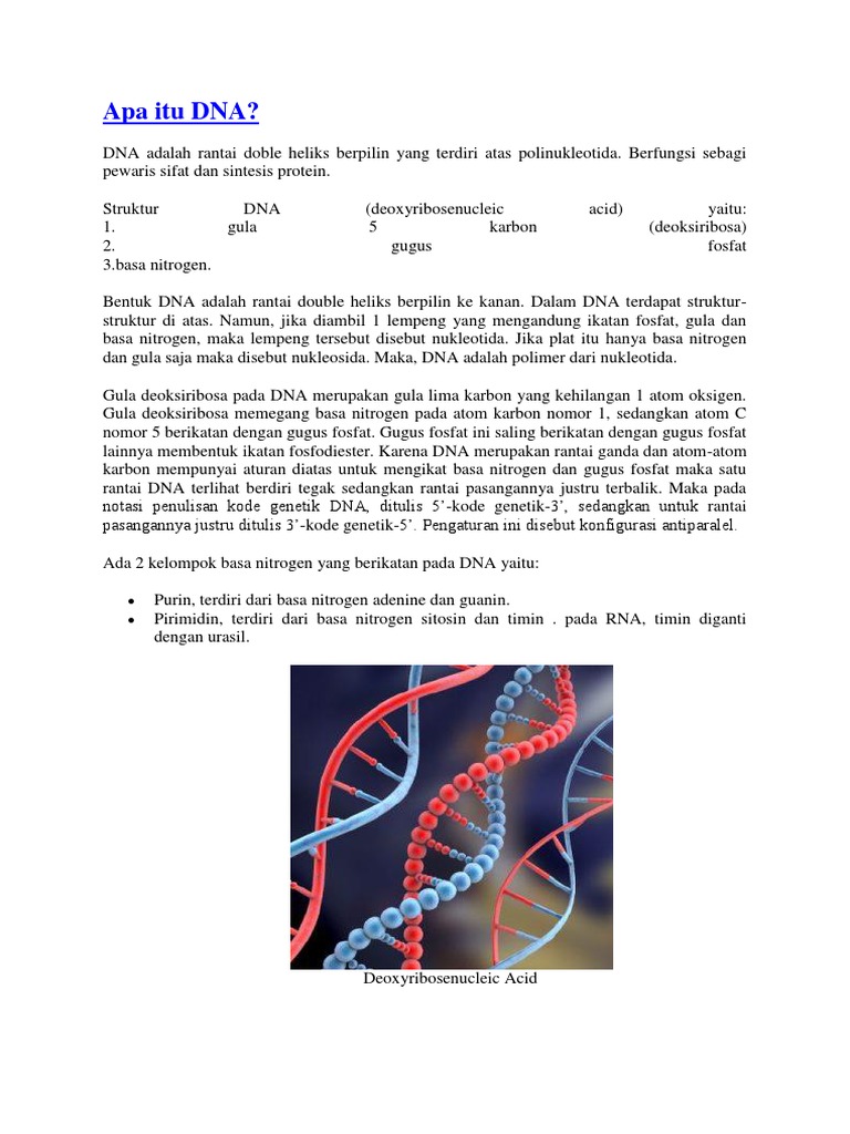 Memahami DNA dan Fingerprinting | PDF