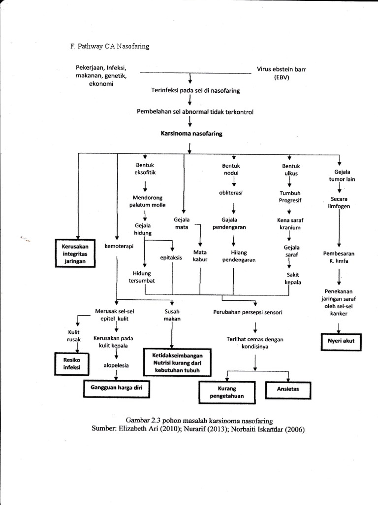 F. Pathway CA Nasofaring | PDF