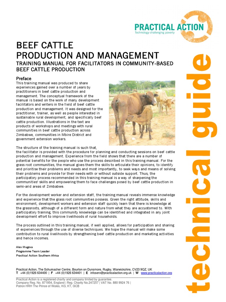 Beef Cattle Production and Management Training Manual PDF | PDF | Calf ...