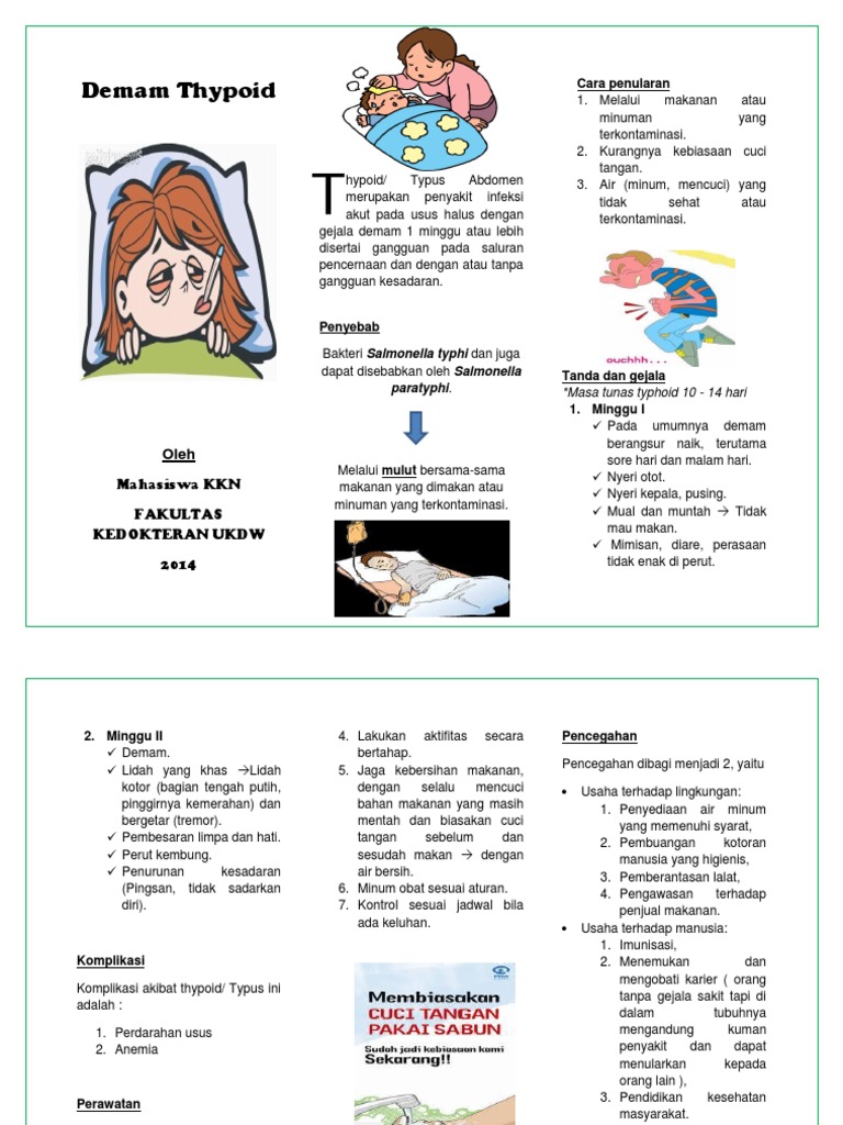 Leaflet Demam Tifoid | PDF