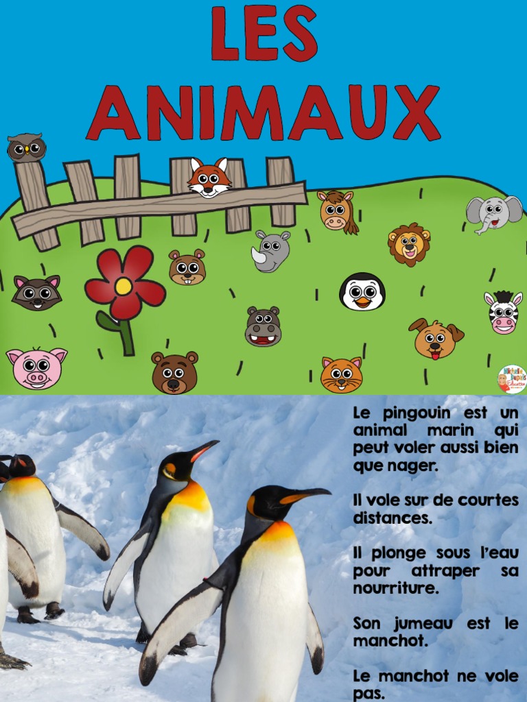 Power Point Sur Les Animaux | PDF | Lion | Zèbre
