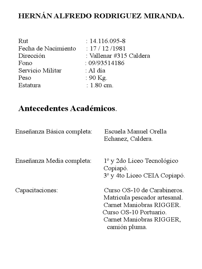 Curriculum HERNAN | PDF