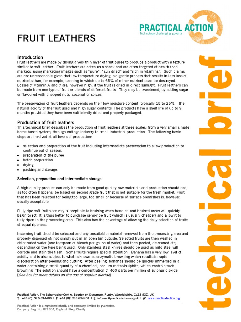 Fruit Leathers | PDF | Dried Fruit | Food Preservation