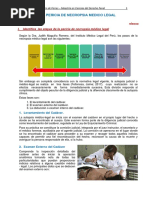 Chocolate Nestlé Almon Ris 12 Pzas 26 G Cu Walmart | PDF | Chocolate