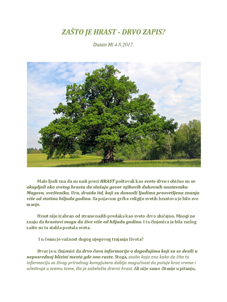 Zasto Je Hrast Sveto Drvo | PDF