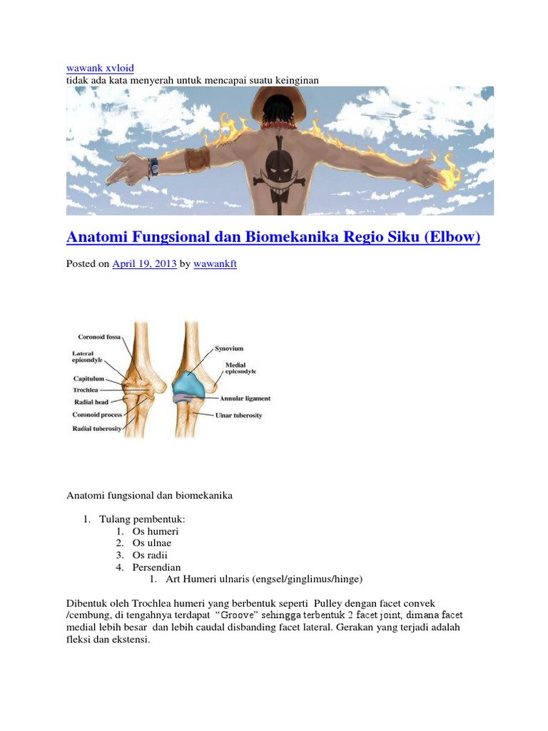 Biomekanik Elbow | PDF