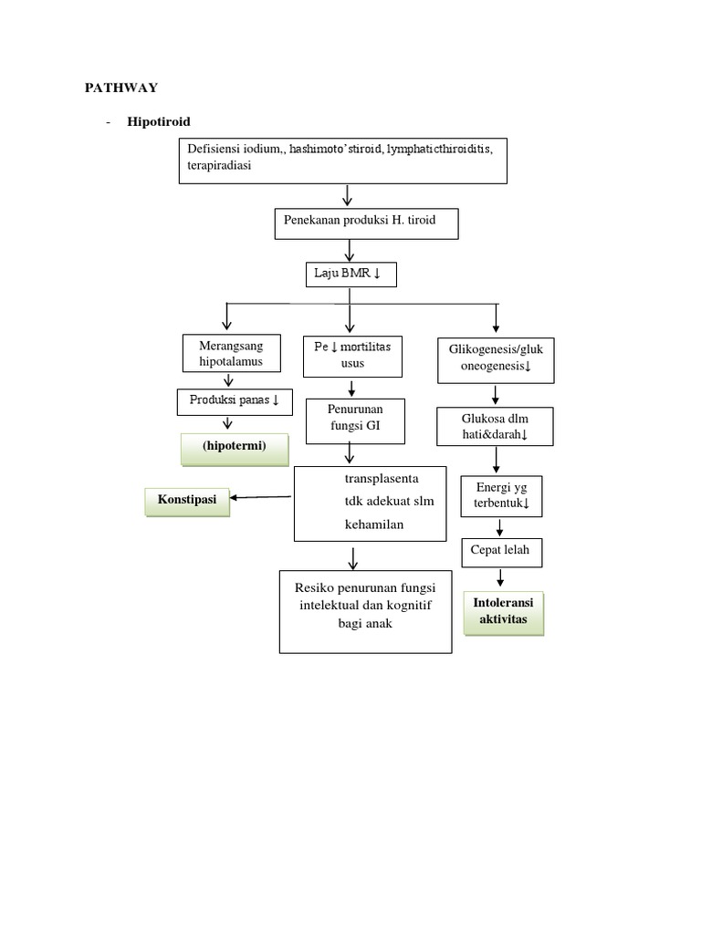 PATHWAY PENYAKIT TIROID | PDF
