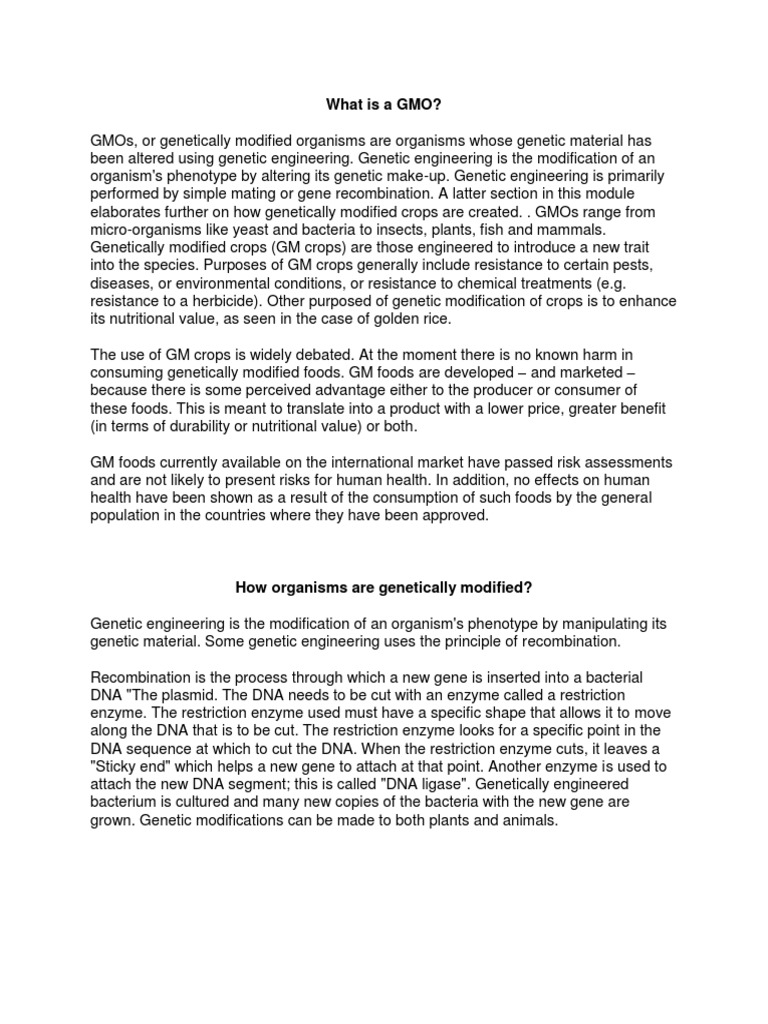 What Is A Gmo Pdf Genetic Engineering Genetically Modified Crops