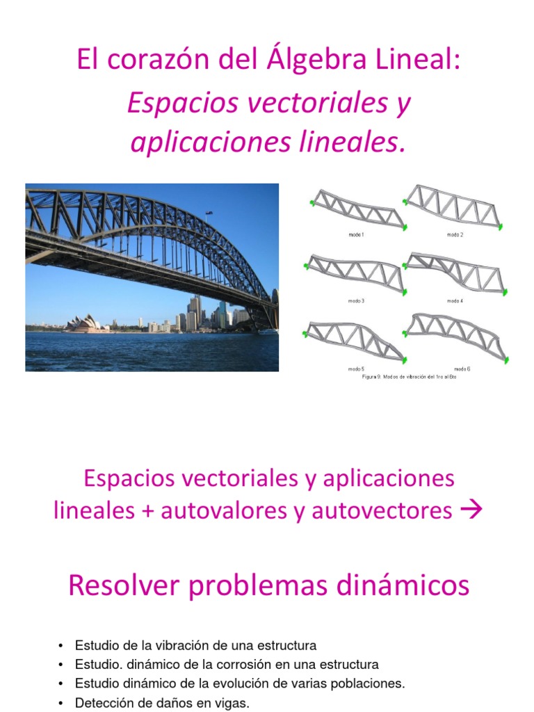 Espacios Vectoriales y Aplicaciones Lineales | PDF | Mapa lineal | Espacio vectorial