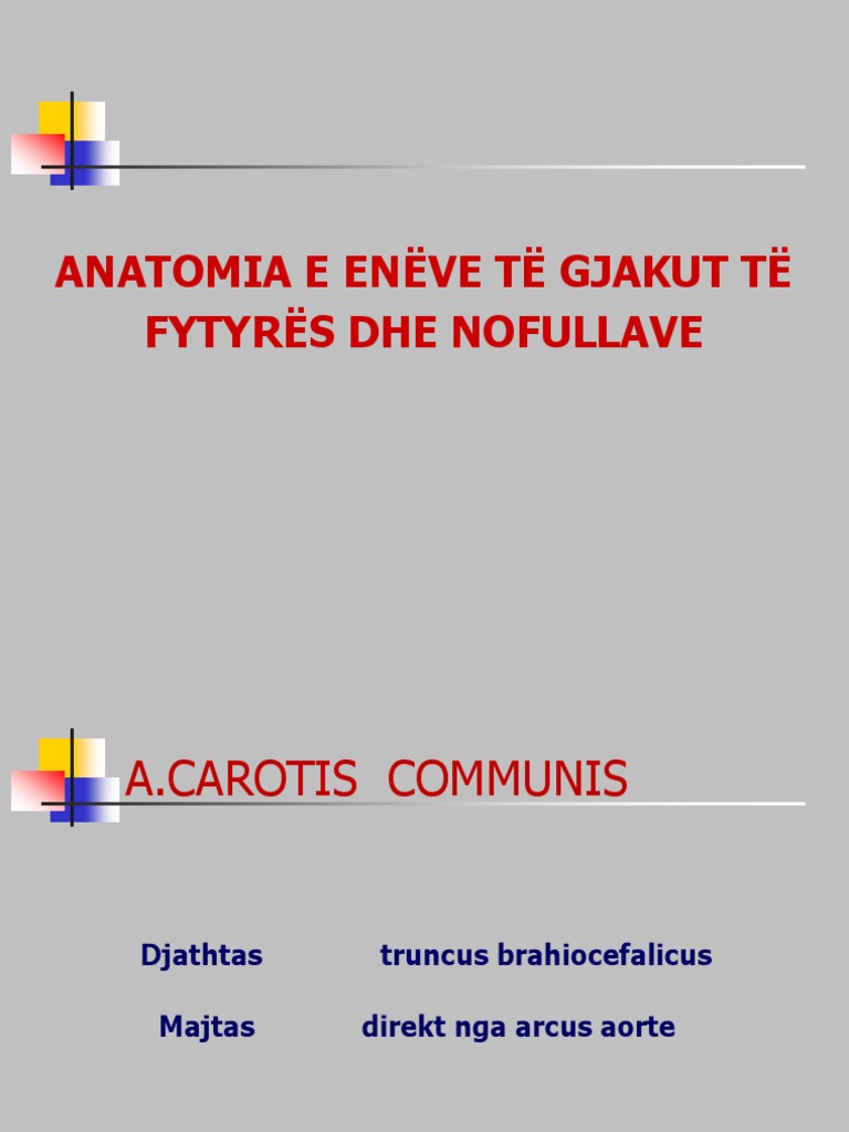 Ligjerata 1 e I-Rë Vaskulari | PDF