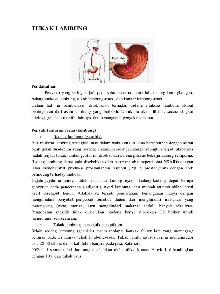 Tukak Lambung | PDF