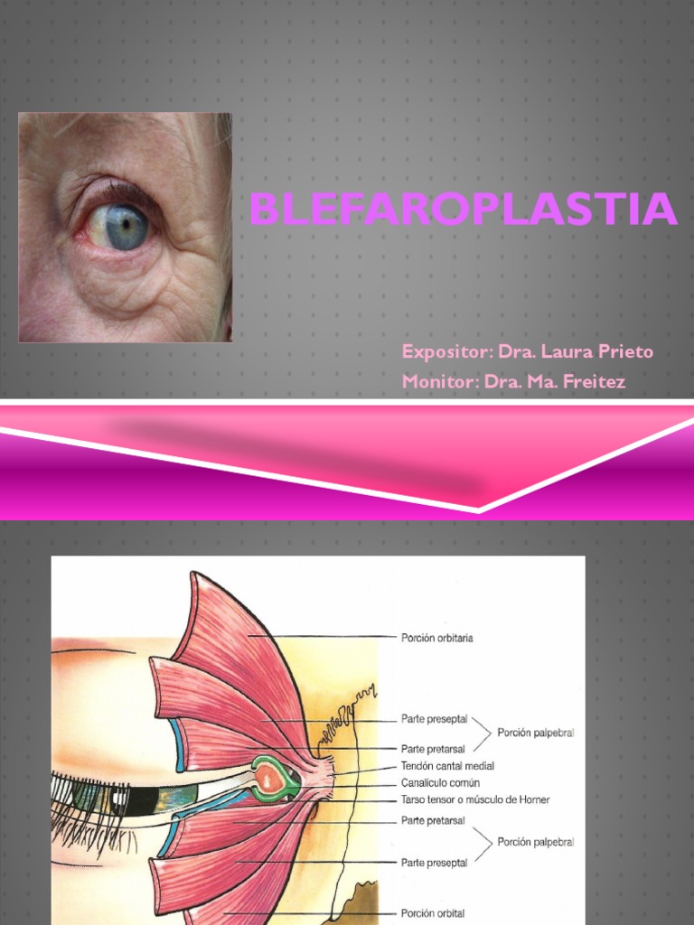 BLEF | PDF | Órgano (anatomía) | Especialidades Medicas