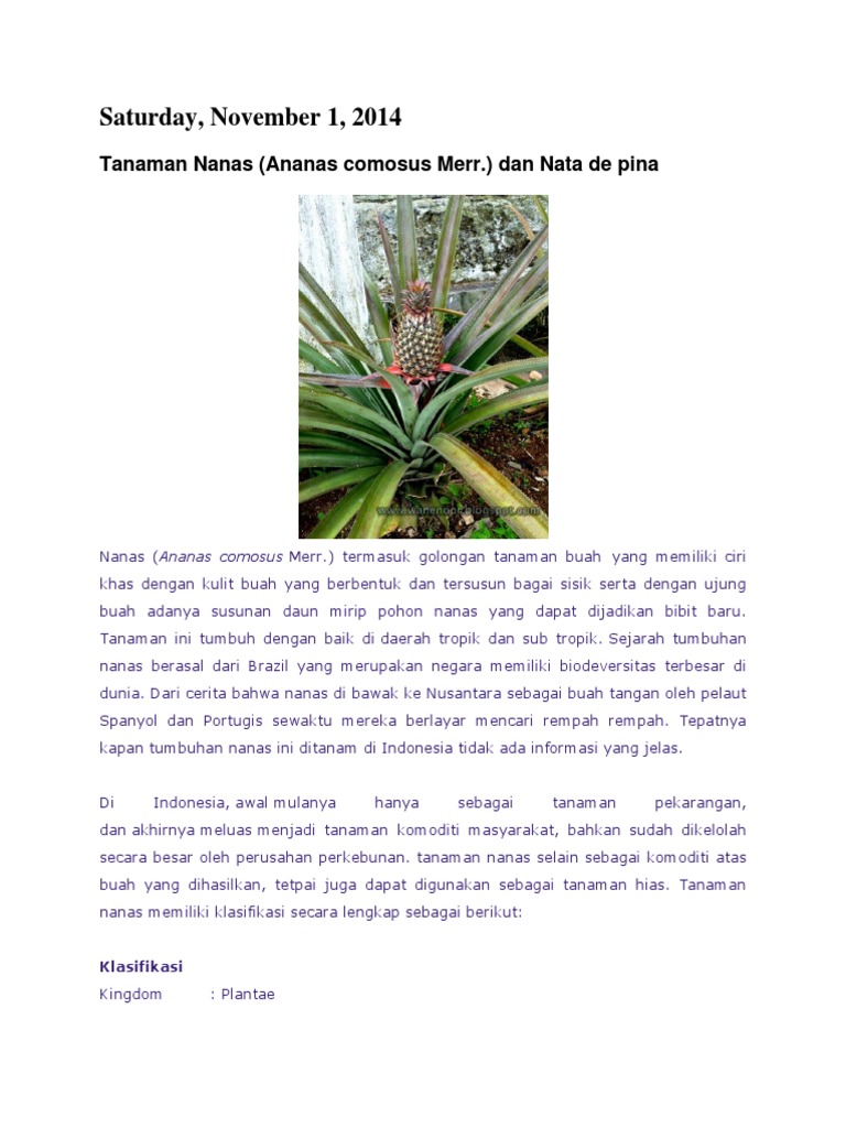 Klasifikasi dan Morfologi Nanas (Ananas comosus) - Sebuah Tinjauan Menyeluruh | PDF