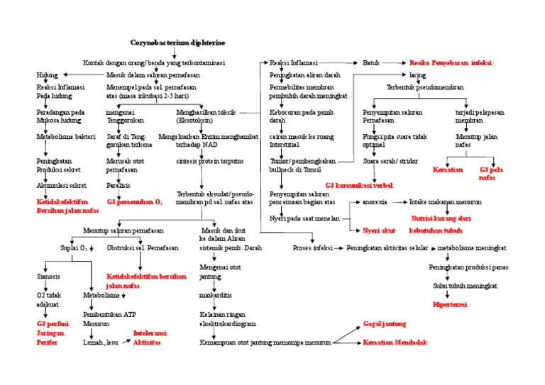 Patofisiologi Difteri | PDF