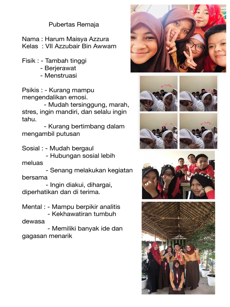 Pubertas Remaja | PDF