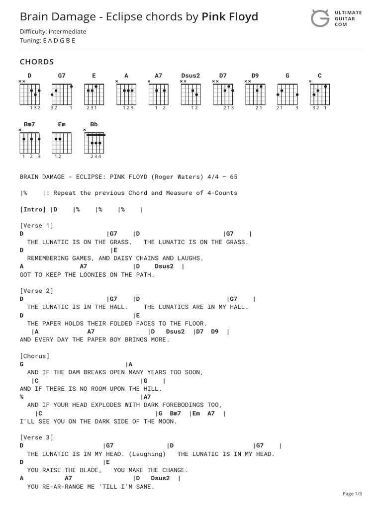 Brain Damage | PDF | Song Structure | Leisure