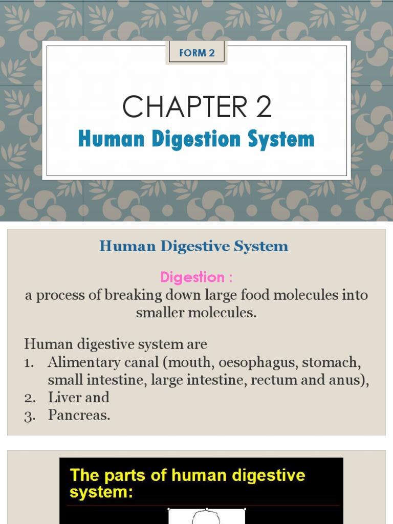 Chapter 2 Nutrition | PDF | Digestion | Human Digestive System