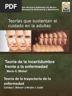 Teoría de La Trayectoria de La Enfermedad Carolyn L | PDF | Enfermería | Medicina CLINICA