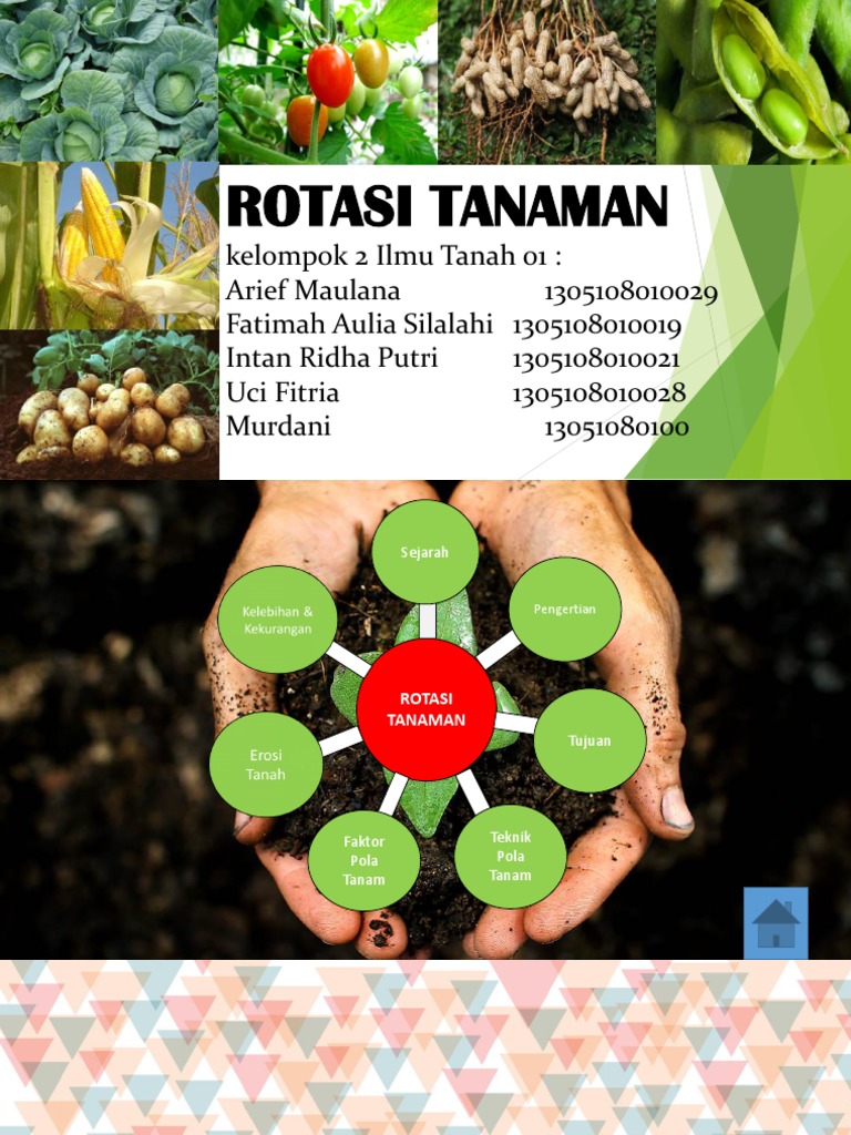Manfaat dan Teknik Rotasi Tanaman | PDF | Griya & Taman | Sains ...