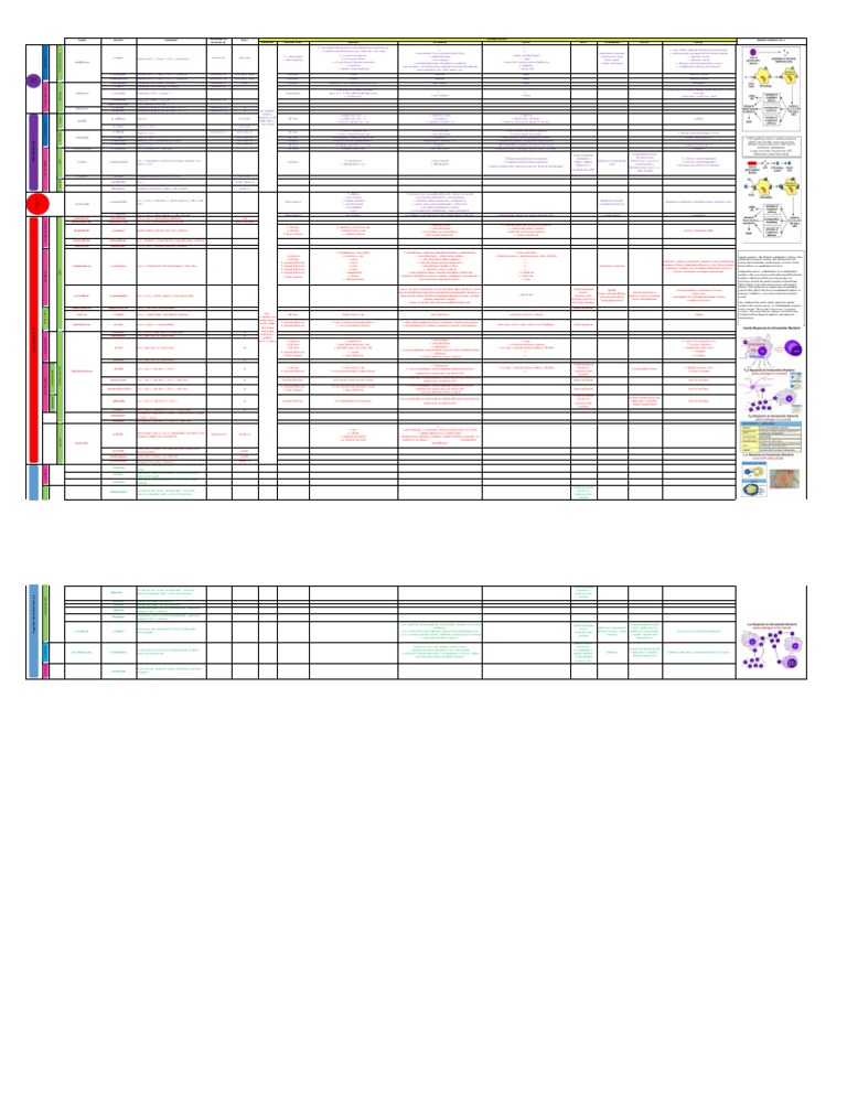 Bacteria Flow Chart | Staphylococcus | Streptococcus