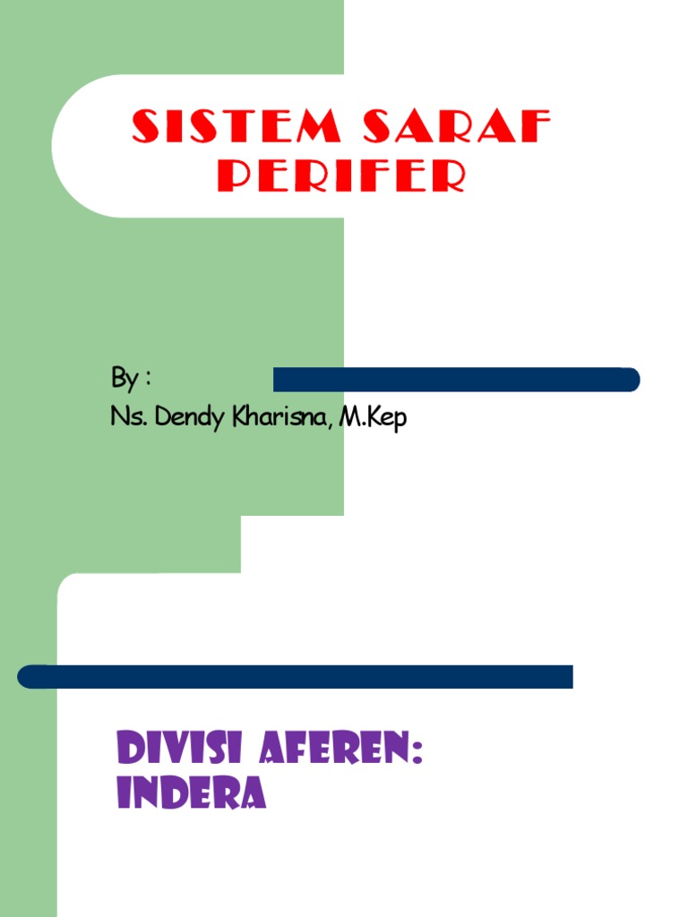 Sistem Saraf Perifer Aferen PDF | PDF