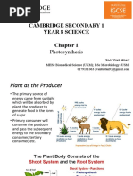 Year 8 Science Exam Practice Questions 2016 | PDF | Chemical Substances ...