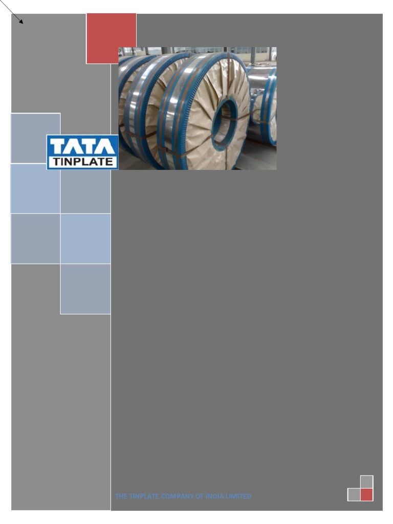 The Tinplate Company of India Limited | PDF | Packaging And Labeling ...