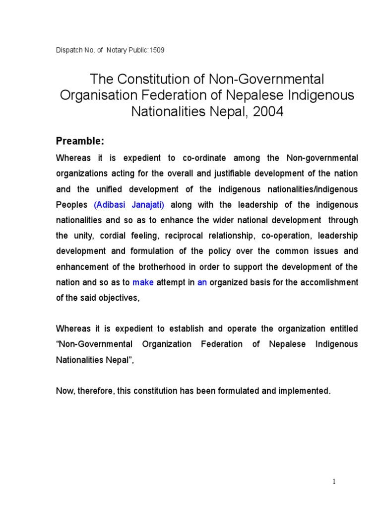 NGO-FONIN Constitution English | PDF | Committee | Chairman