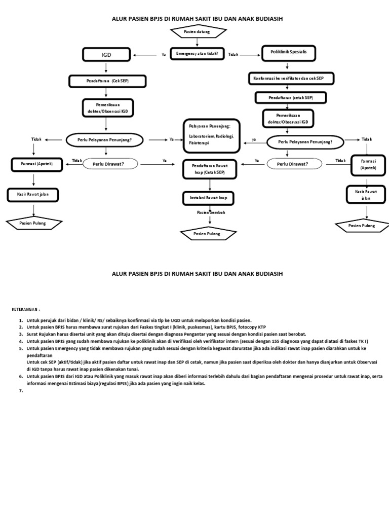 Alur Pasien BPJS-1 | PDF
