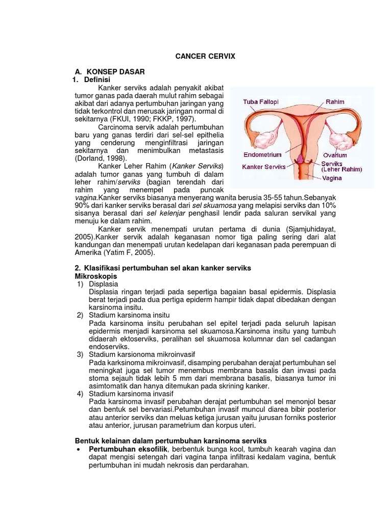 LP CA. Cervix | PDF