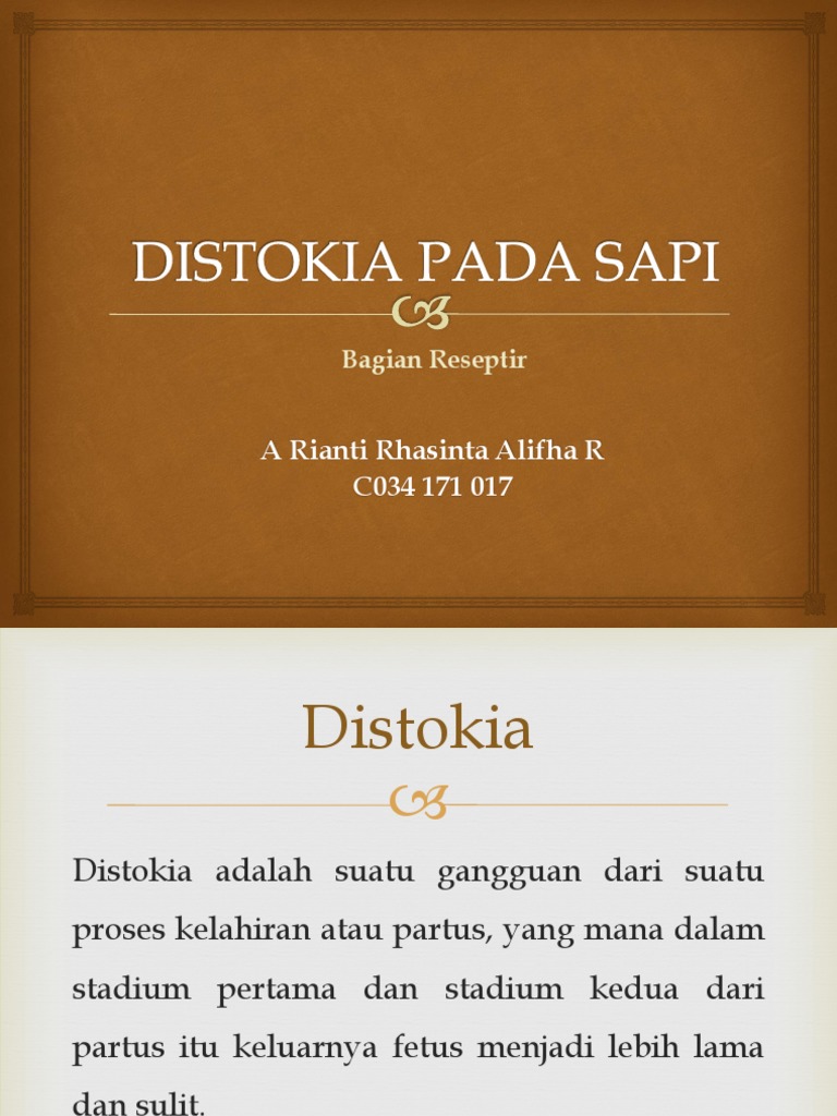 Distokia | PDF