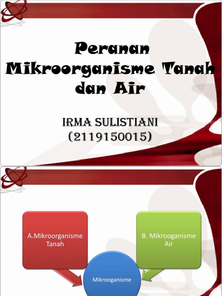 Tugas Presentasi Mikroba Tanah Dan Air - Kelas 3DK | PDF