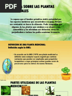Infografia de Plantas Medicinales y Aromaticas | PDF | Hierbas Medicinales Y Hongos | Plantas ...