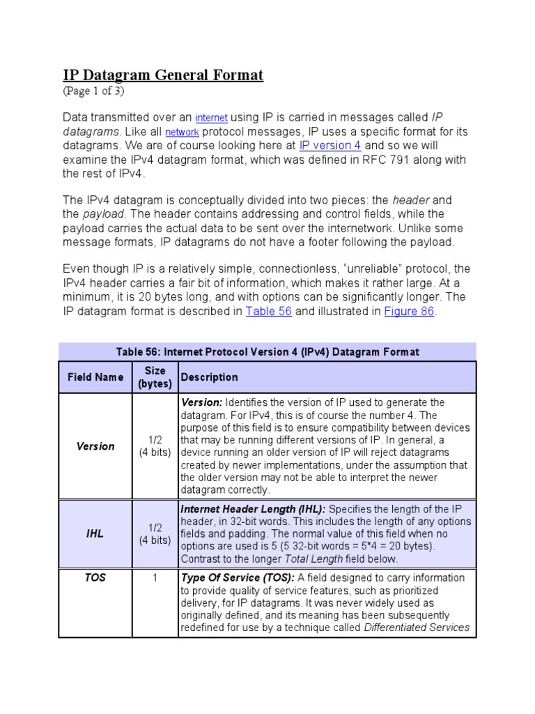 IP Datagram General Format | PDF | Network Protocols | Internet Protocols