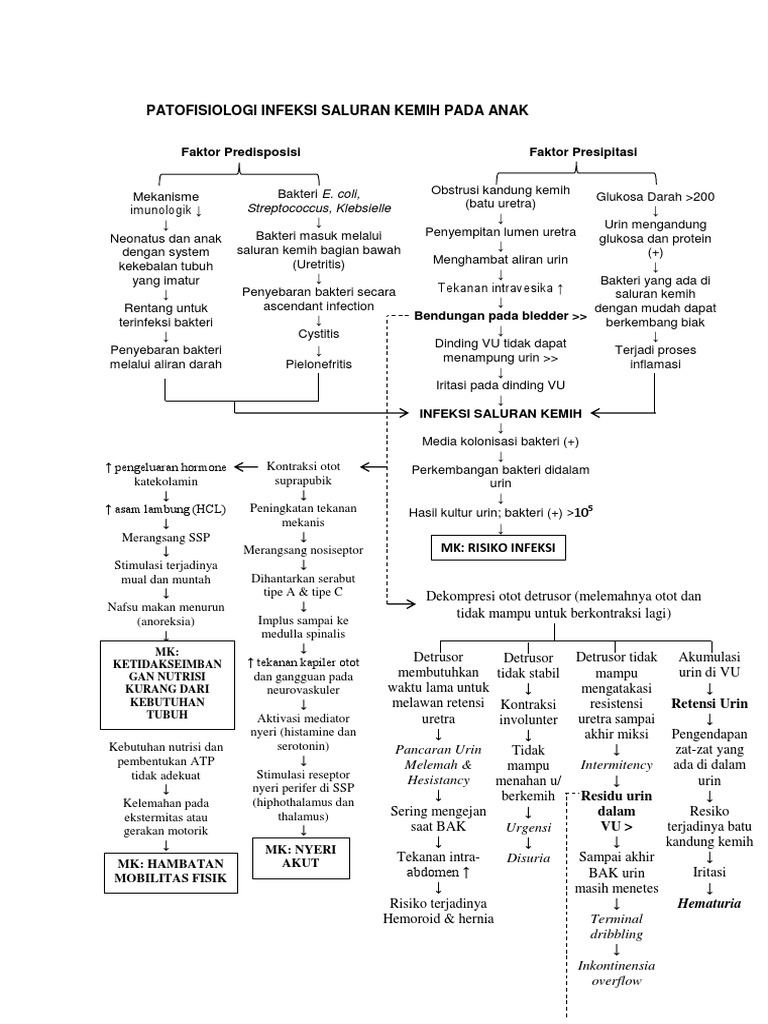 Patofisiologi Infeksi Saluran Kemih Pada Anak | PDF