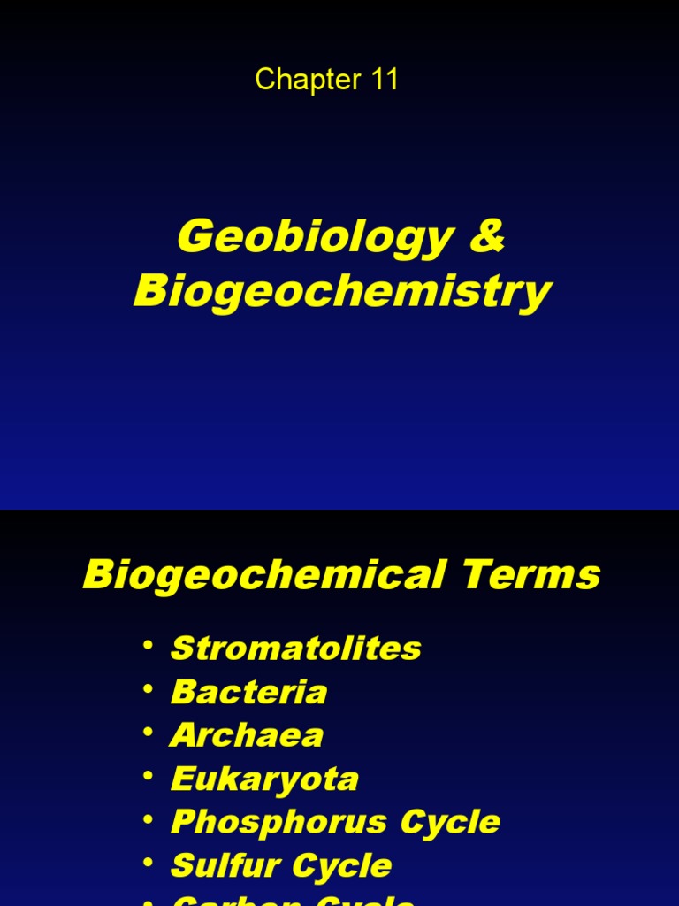 11 Geobiology | PDF | Archaea | Eukaryotes