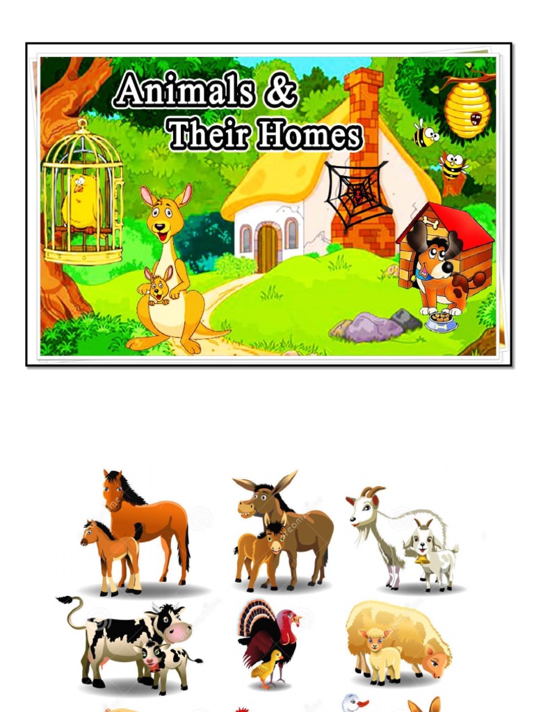 Animals and Their Homes | PDF