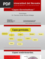 Capas Germinales | PDF | Embrión | Procesos biologicos