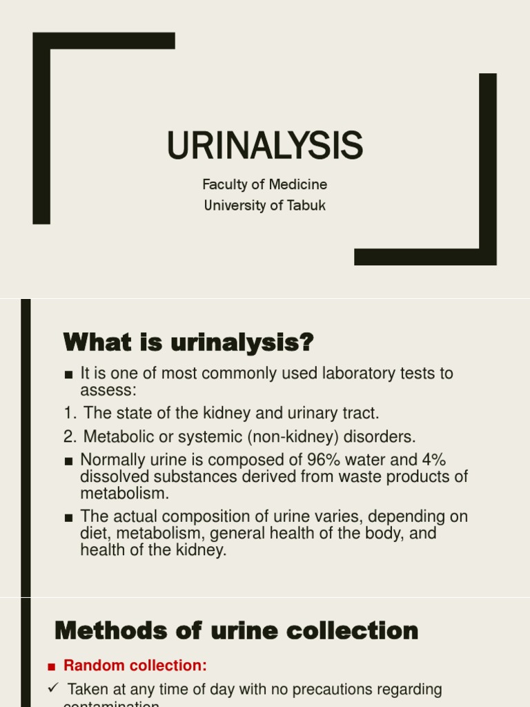 Urinalysis | PDF | Kidney | Urine