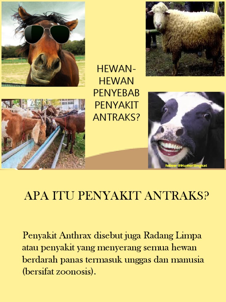 ANTRAKS | PDF