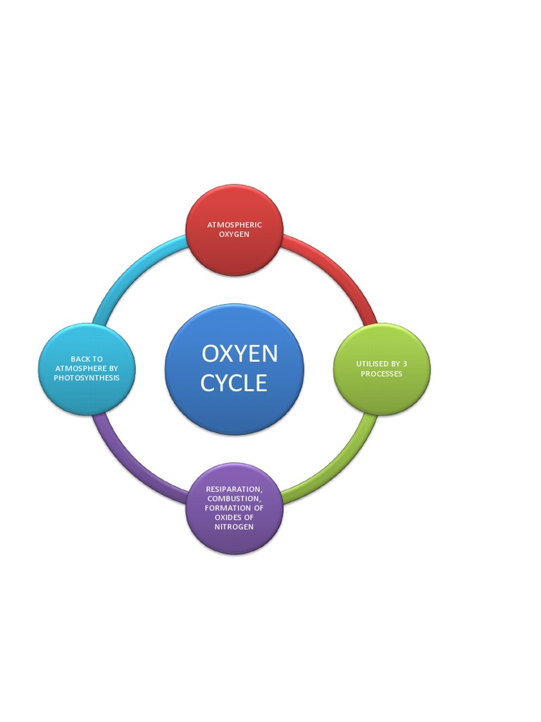 Oxyen Cycle: Atmospheric Oxygen | PDF