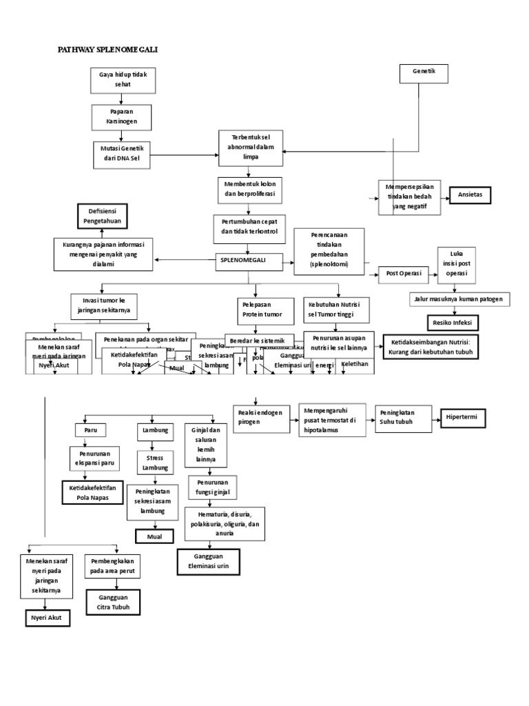 Pathway Splenomegali | PDF
