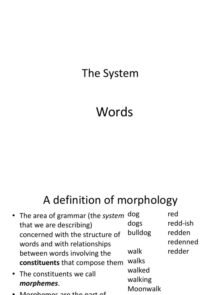 Morphology Lecture 1 Pdf Part Of Speech Morphology Linguistics